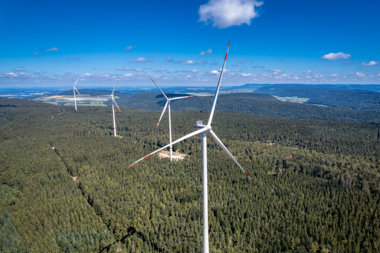Energy security through wind power from the forest - JUWI